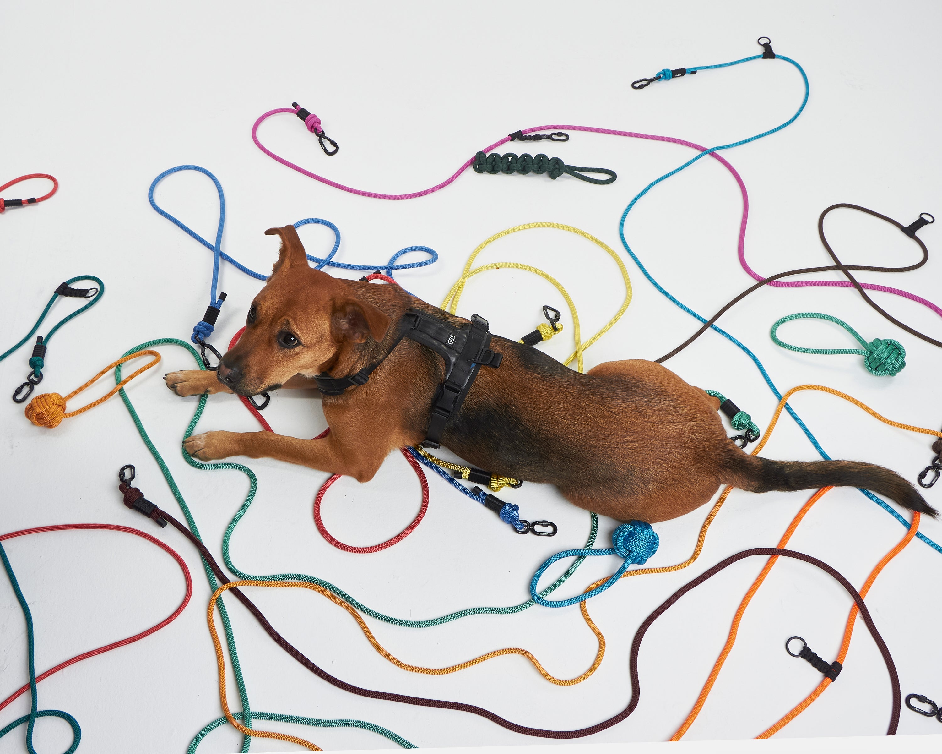 GOS Stuff – Dog products made with recycled materials – GOS STUFF